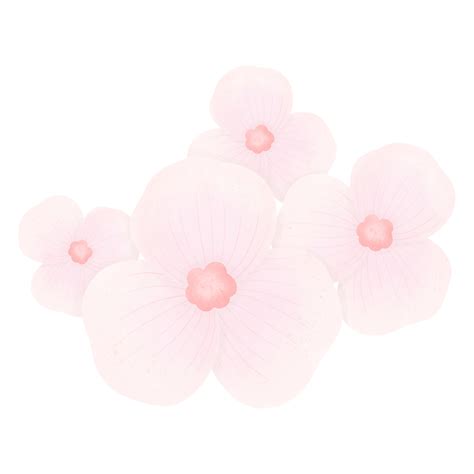 Pink Flower Blossom 34487703 Png