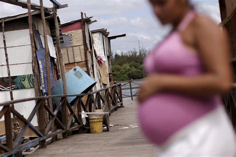 Estados Unidos Confirma Que El Zika Causa Microcefalia • Últimas