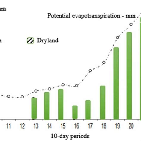Optimal Allocation In Different Periods Scenario 1 Download
