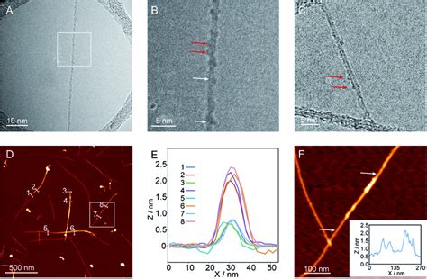 Ac Tem Micrographs Of The Product Of The Reaction Of 65 Swnts Download Scientific Diagram