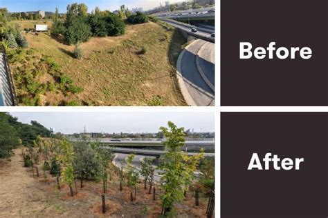 Tree Planting Flourishes At The MUHC McGill University Health Centre