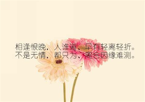 有一種詩詞叫相見恨晚 每日頭條