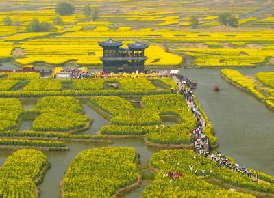 江苏兴化千垛菜花迎客来 人民图片网