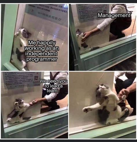 monday memes coder memes humor jokes