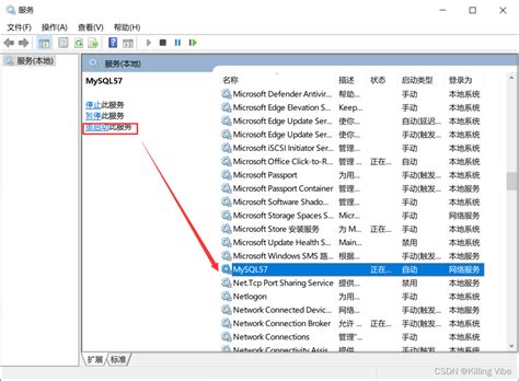 mysql忘记密码怎么办附免密登录和修改密码 阿里云开发者社区