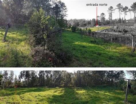 Terreno Na Rua Da Lomba Recarei Recarei OLX Portugal