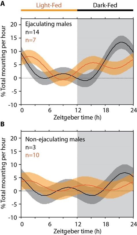 Mounting Behavior Timing Cosinor Regression Mean And 95 Confidence Download Scientific