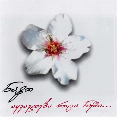 აყვავდება როცა ნუში Youtube Music