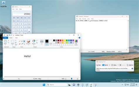A Preview Build 25941 1000 Of Windows 11 Enterprise Ltsc 2024 Has Leaked R Windows11