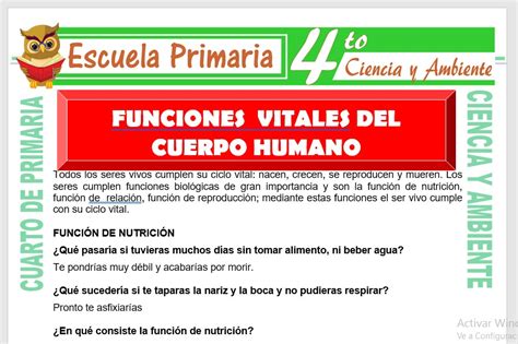 Funciones Vitales Del Cuerpo Humano Para Cuarto De Primaria