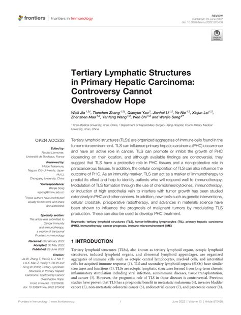 Pdf Tertiary Lymphatic Structures In Primary Hepatic Carcinoma Controversy Cannot Overshadow Hope