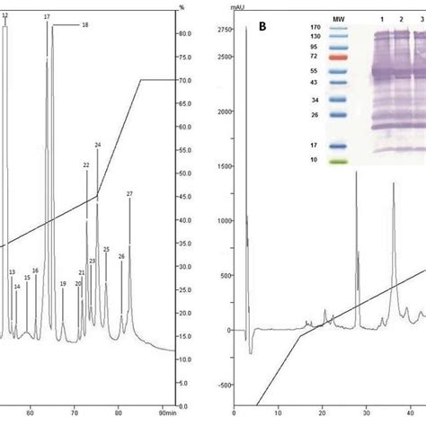 Chromatographic Elution Profiles By Rp Hplc At 215 Nm On A C 18 Column