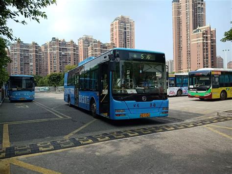 福州公交车型大全11 福州公交集团（金旅主场） 哔哩哔哩