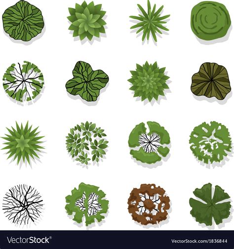 Tree Top View For Landscape Royalty Free Vector Image
