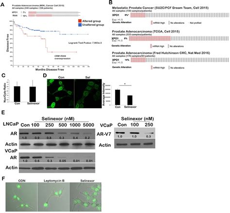 Vcap Atcc Bioz