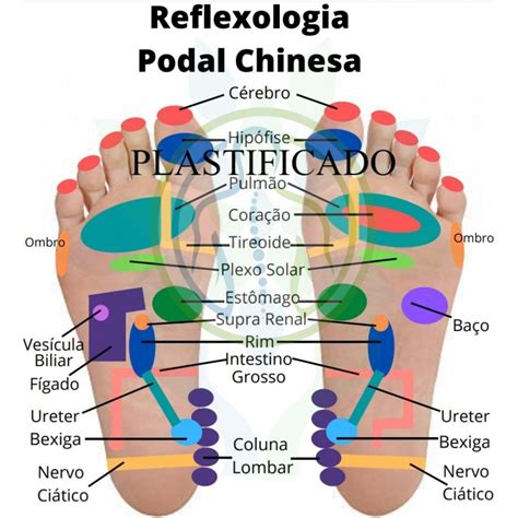 Mapa Reflexologia Podal Chinesa Plastificado A4