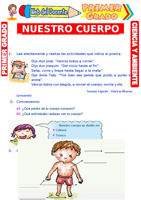 Nuestro Cuerpo Para Primer Grado De Primaria Nuestro Cuerpo 1 Lee