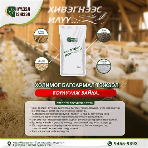 Малын багсармал тэжээл худалдаанд Нүүдэл Тэжээл ХХК
