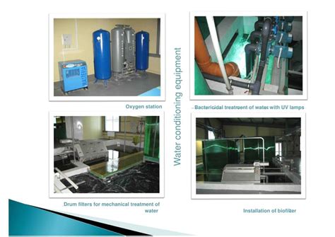 Ppt Fish Hatchery Powerpoint Presentation Free Download Id4723900