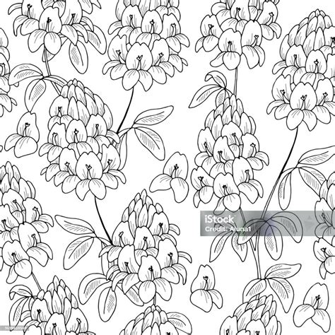 알팔파 꽃 완벽 한 패턴 배경 그래픽 블랙 화이트 스케치 그림 벡터 알팔파에 대한 스톡 벡터 아트 및 기타 이미지 알팔파