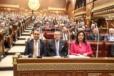 وزير السياحة أمام الشيوخ بدء تنفيذ حوافز الاستثمار الفندقي خلال أيام