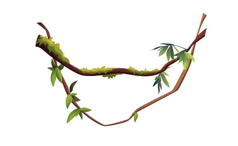 리아나 또는 열대 잎 배경과 포도 나무 구불 구불 한 가지 정글 열대 등반 식물 0명에 대한 스톡 벡터 아트 및 기타 이미지