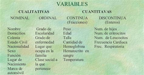 Tesis E Investigaciones Sas De Cv Variables Cualitativas Y Cuantitativas