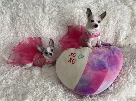 Trina And Starla ~ Valentines Day Photo Shoot In Matching Dresses 💗💗💗💗💗