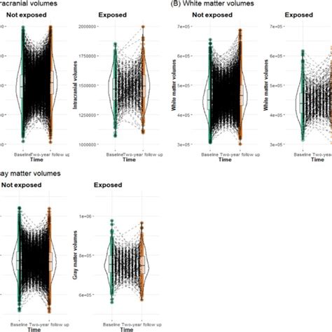 Brain Volumes By Each Time Point And Prenatal Cannabis Exposure Group