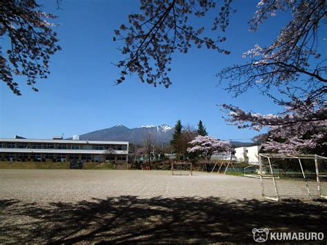 小泉小学校の桜 2012 くまぶろ