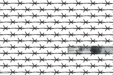 Barb Pattern Background Gray Barbed Wire Isolated On White Background