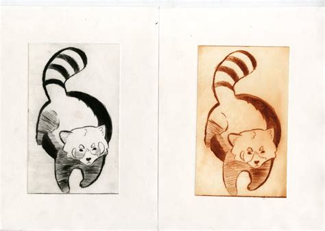 Kayla Vasquez Roots Of Visual Style Seeds Of The League