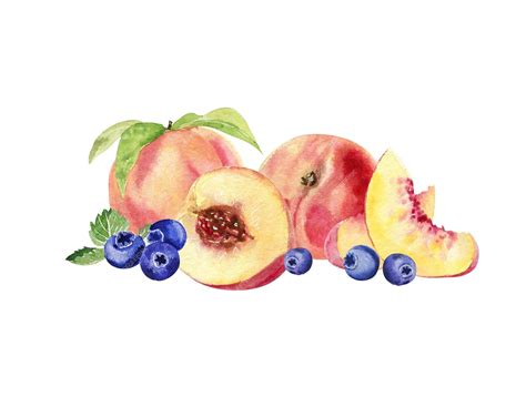 Conjunto De Rodajas De Fruta De Melocotón Dibujo A Mano Acuarela Foto