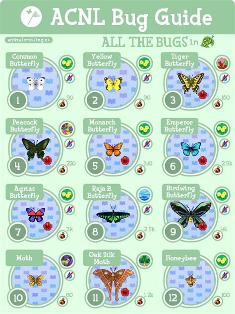 All The Bugs 1 12 Animal Crossing Guide Animal Crossing 3ds New