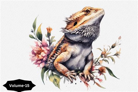 Cute Bearded Dragon Sublimation Clipart Graphic By Design Store