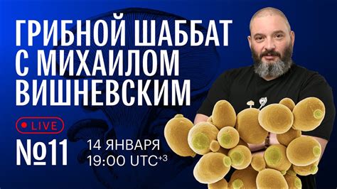 Грибной шаббат с Михаилом Вишневским №11 Термофильные дрожжи Youtube