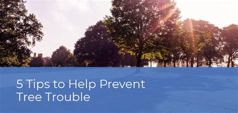 5 Tips To Help Prevent Tree Trouble Atlas Insurance Brokers Rochester MN