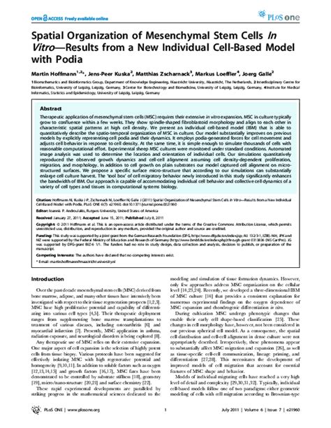 Pdf Spatial Organization Of Mesenchymal Stem Cells In Vitro Results From A New Individual