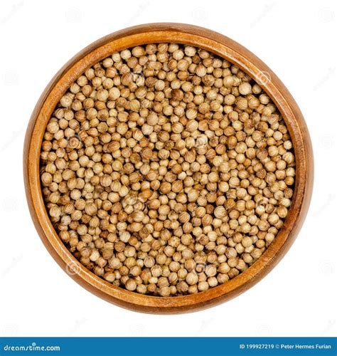 Coriander Seeds Whole Dried Coriander Fruits In A Wooden Bowl Stock
