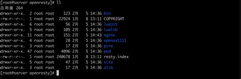 nginx做白名单和限流 sunarmy 博客园