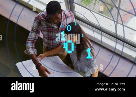 Animation Of Circles And Binary Codes Over Diverse Coworkers Analyzing