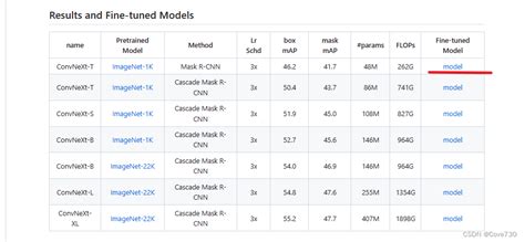 A Convnet For The 2020s 代码复现（目标检测）convnext Mask Rcnn Csdn博客