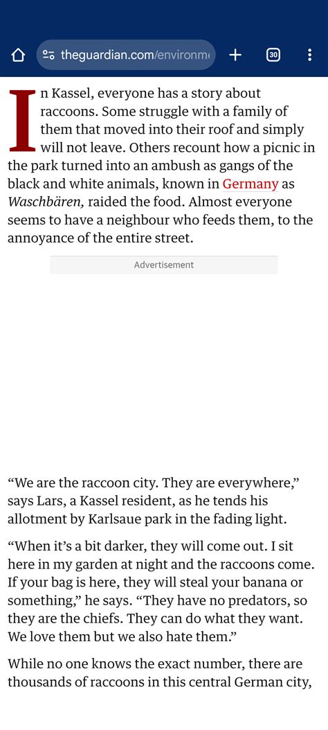 Invasion Of The Trash Pandas Album On Imgur