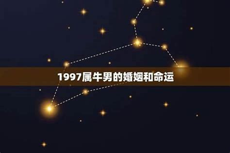 97年属牛男注定的婚姻 生肖 若朴堂文化