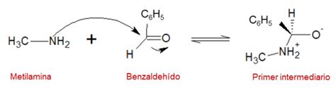 Definición de Bases de Schiff procesos y variables