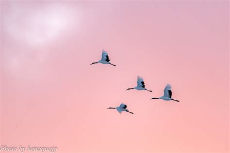 By Ken Aqua Id Photohito