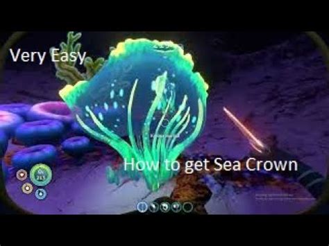 Easy Way How To Get Sea Crown Seed Very Easy Youtube