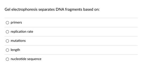 Solved Gel Electrophoresis Separates Dna Fragments Based On Primers