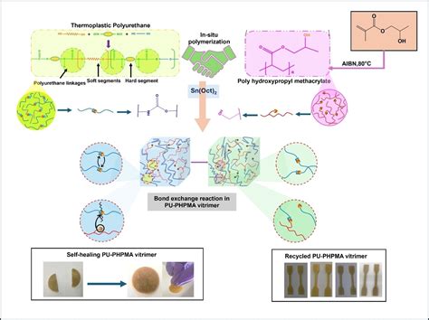 Recyclable And Self‐healing Polyurethane Vitrimers Via Dynamic Bonding With In‐situ Polymerized