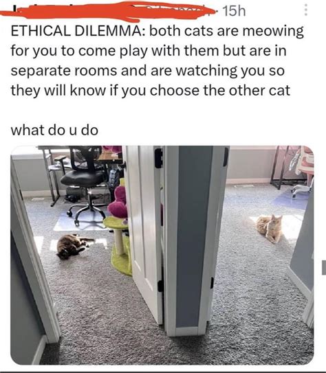 The Ultimate Trolly Problem Rthegoodplace